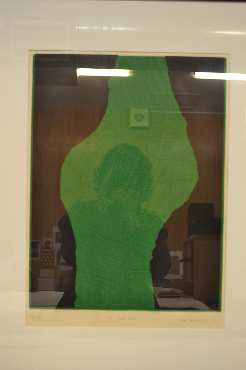 The Green Phase - Aratoi, Wairarapa Museum of Art and History